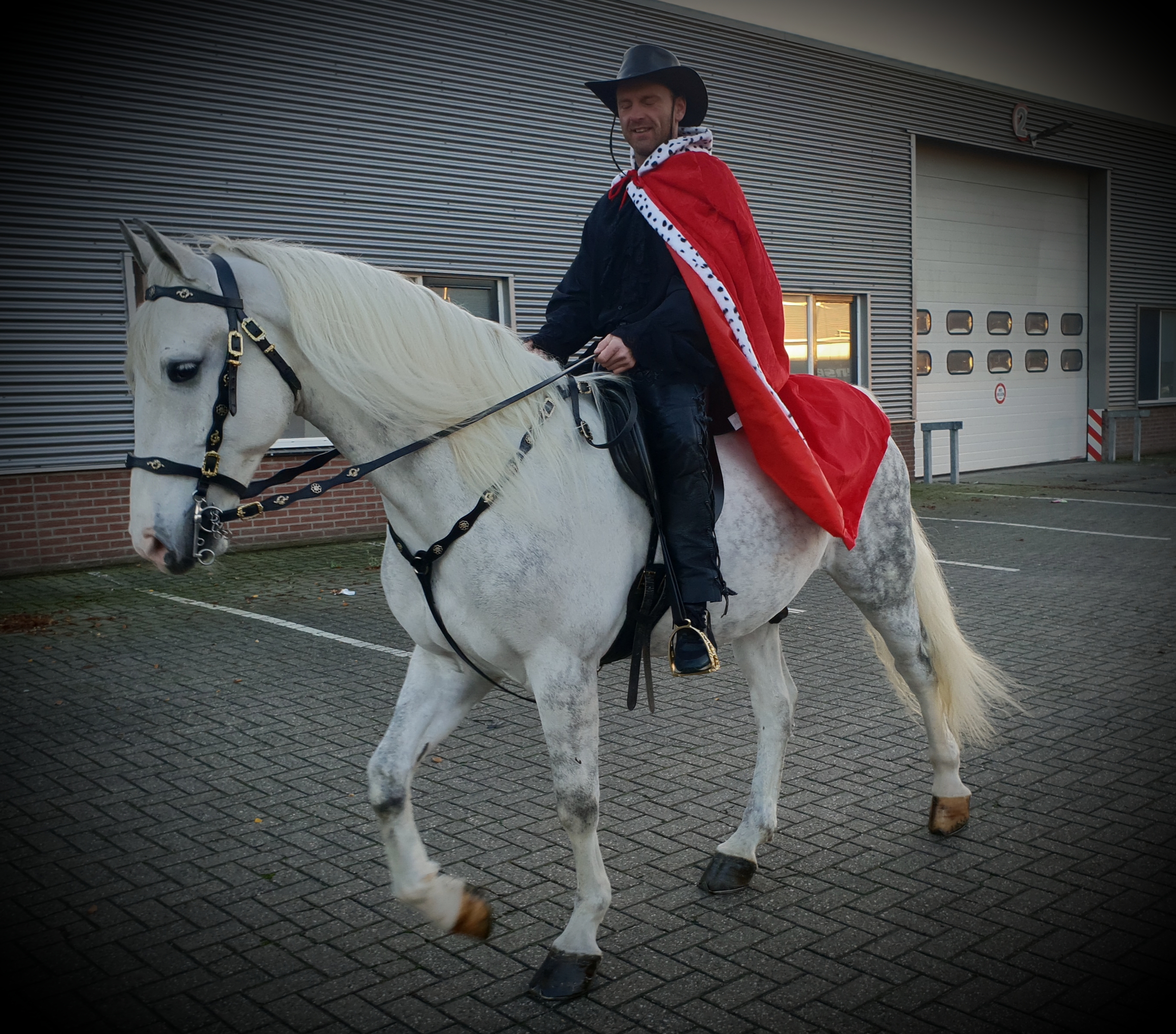 Wit paard voor commercial, evenement of ceremonie - www.koetsen.nl
